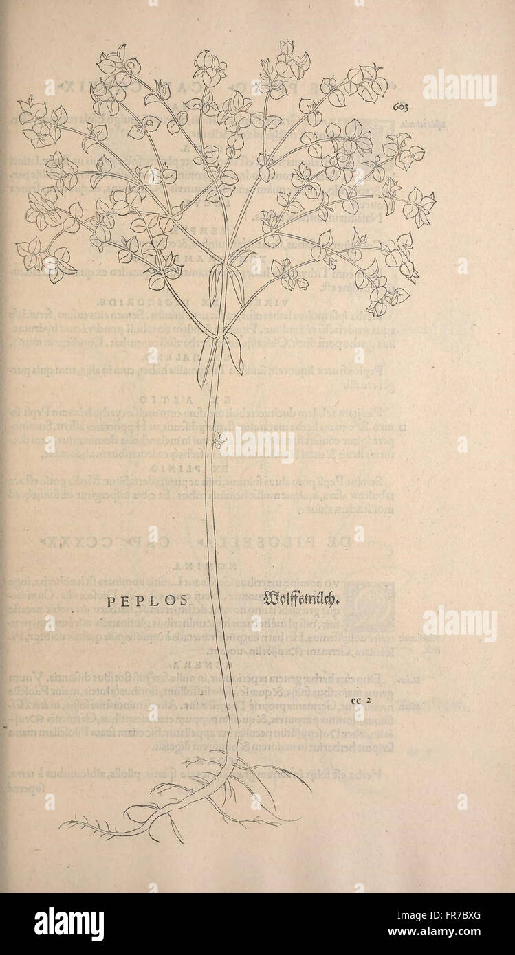 This botanical work provides significant commentary on plant history ...