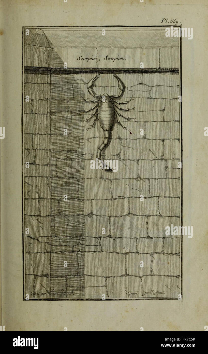 This plate from 'Description, Vertus et Usages de Sept Cents Dix-Neuf ...
