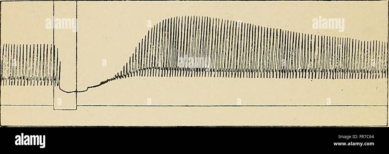 The 1897 book offers a series of practical exercises designed to teach ...