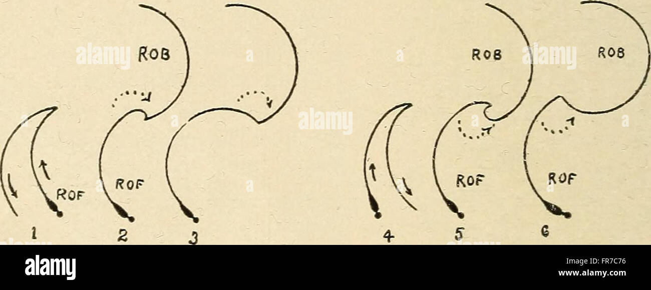 This handbook offers practical guidance on figure skating, providing ...