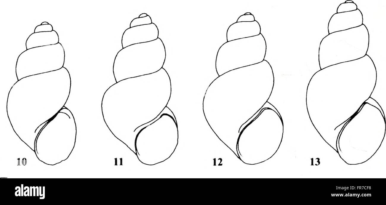 2001 bulletin Black and White Stock Photos & Images - Alamy