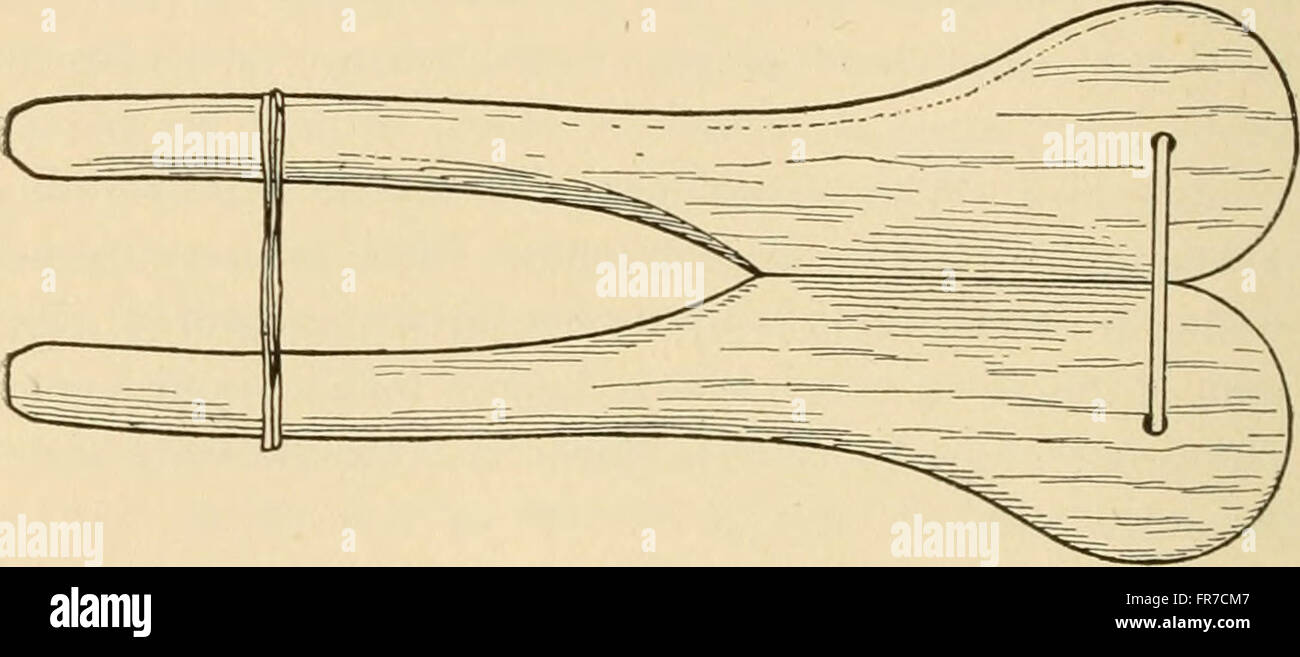 Fitting sheep hi-res stock photography and images - Alamy