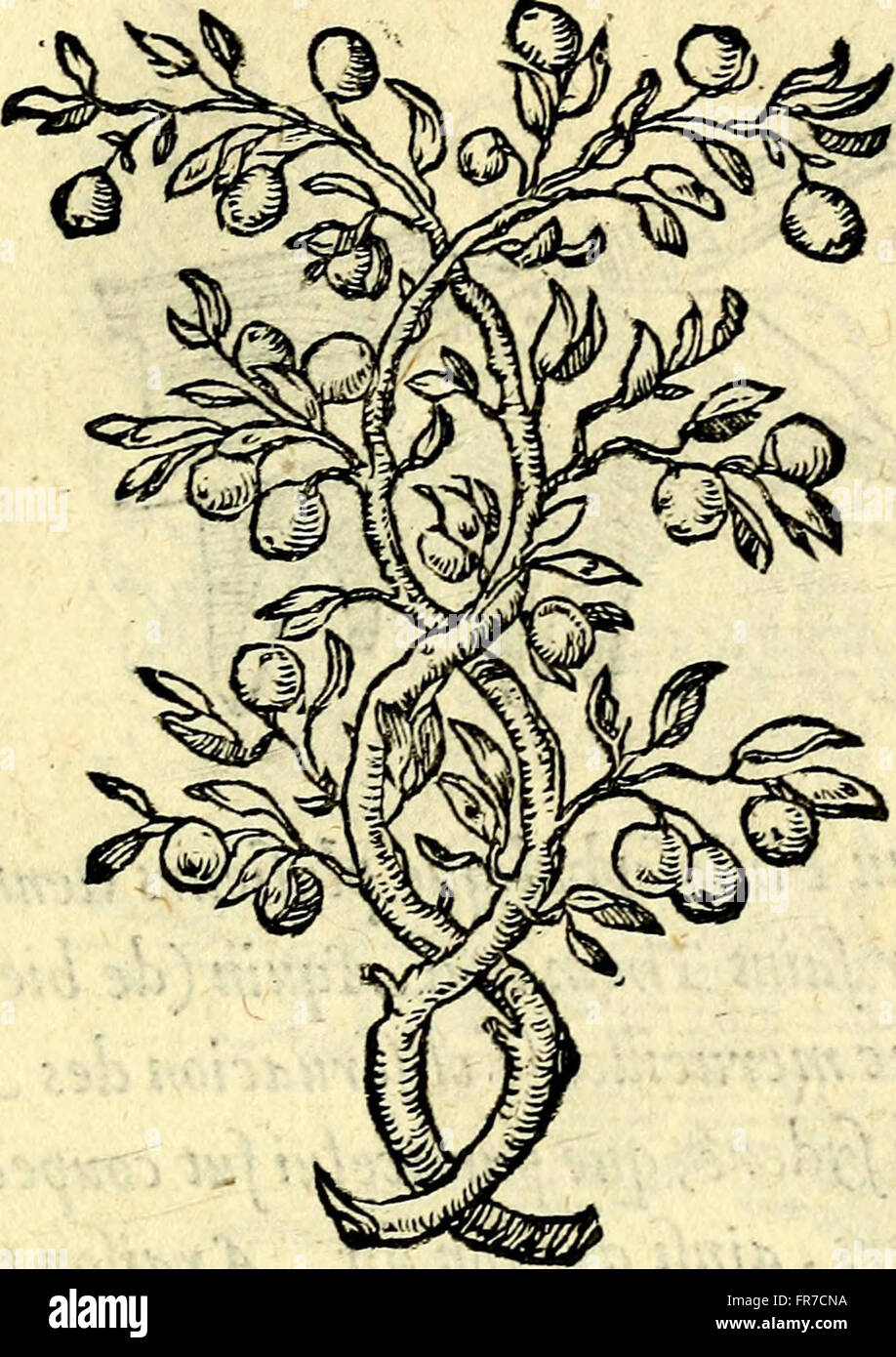 'Devises Héroïques' (1557) is a work containing various heroic emblems ...