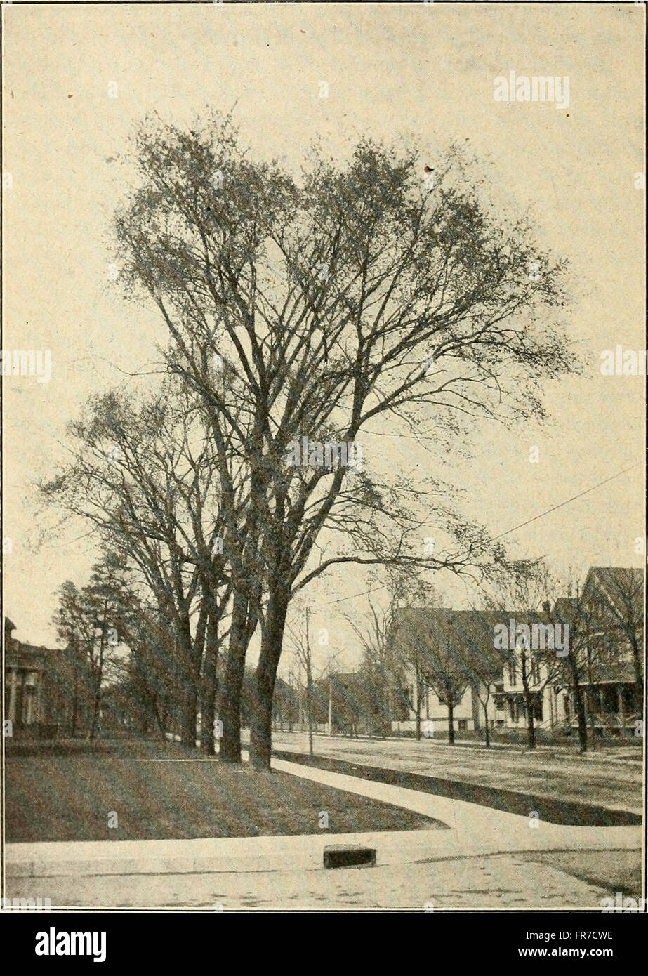 The 1905 edition of the Documentary Journal of Indiana presents a ...