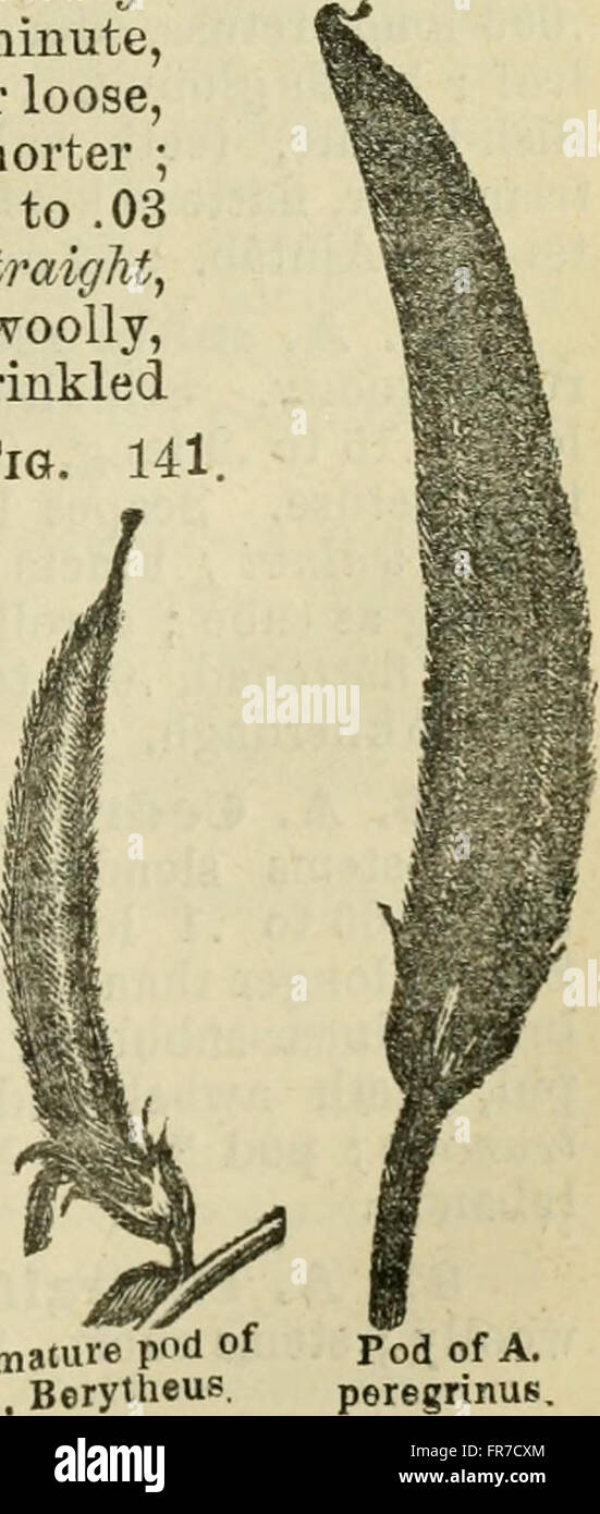 A detailed study of the flora in Syria, Palestine, and Sinai, covering ...