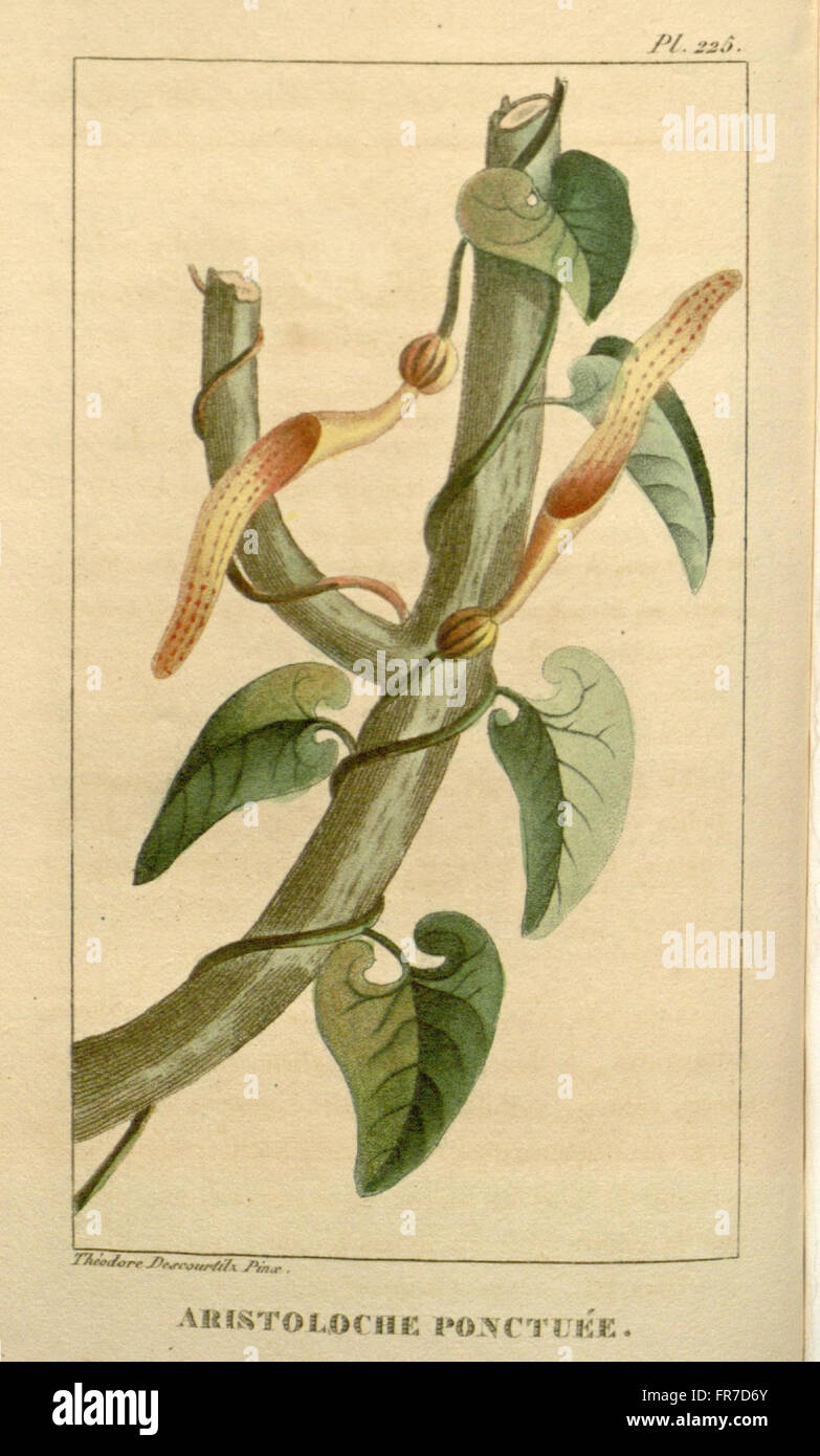 This French-language work is a comprehensive guide to medicinal plants ...