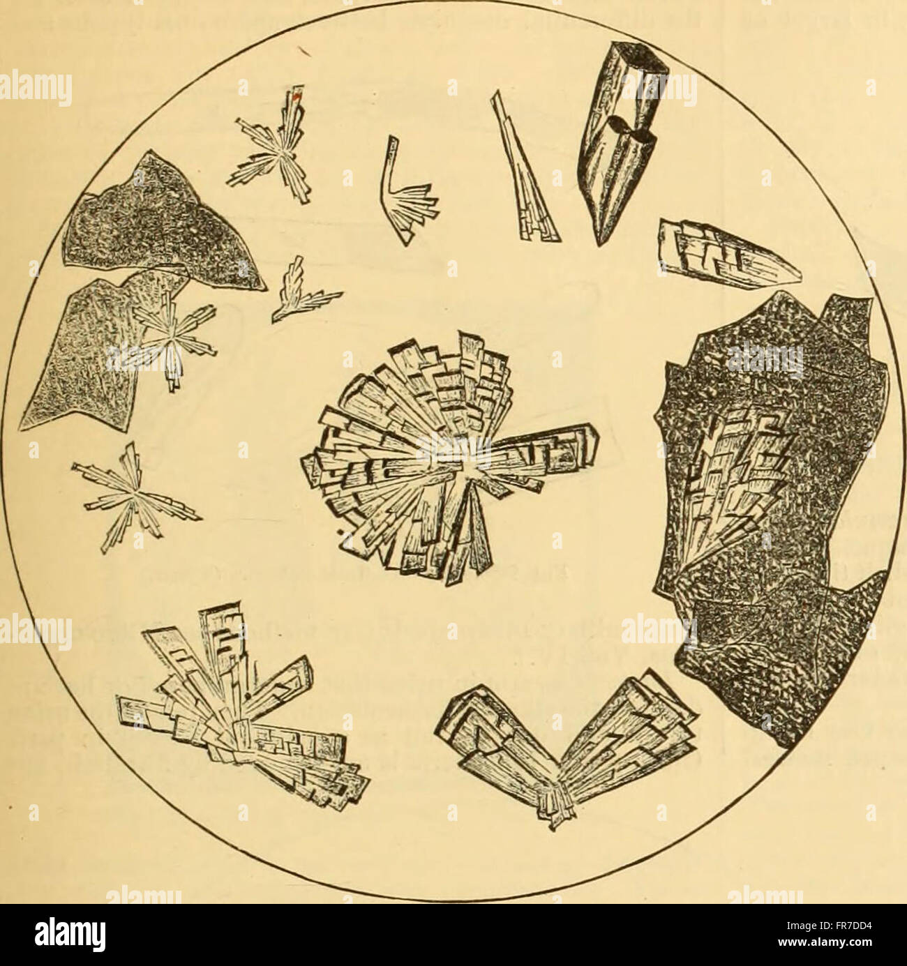 A Reference Handbook of the Medical Sciences (1885) is an extensive ...