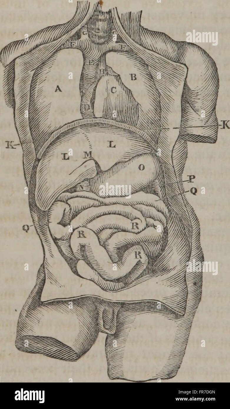 This volume of 'Human Physiology' (1844) provides an in-depth ...