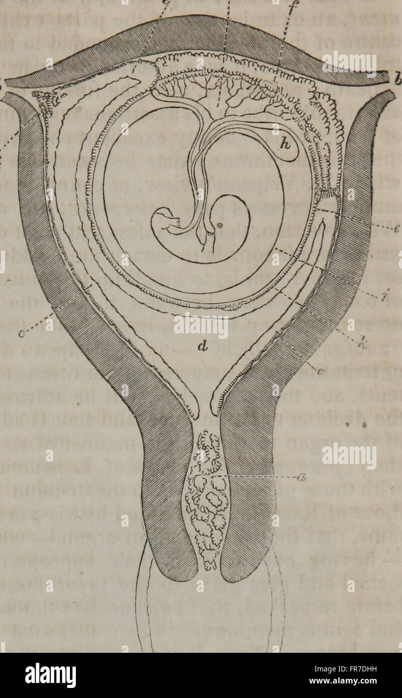 'Human Physiology' (Volume 2, 1844) covers advanced topics in human ...
