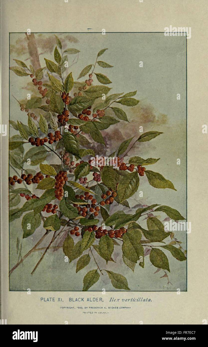 This guide offers a visual and descriptive overview of various tree ...