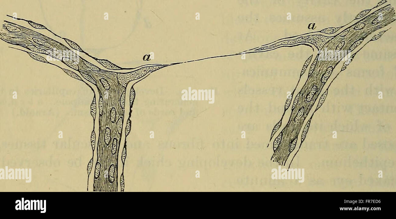 This 1892 handbook provides a comprehensive overview of human ...