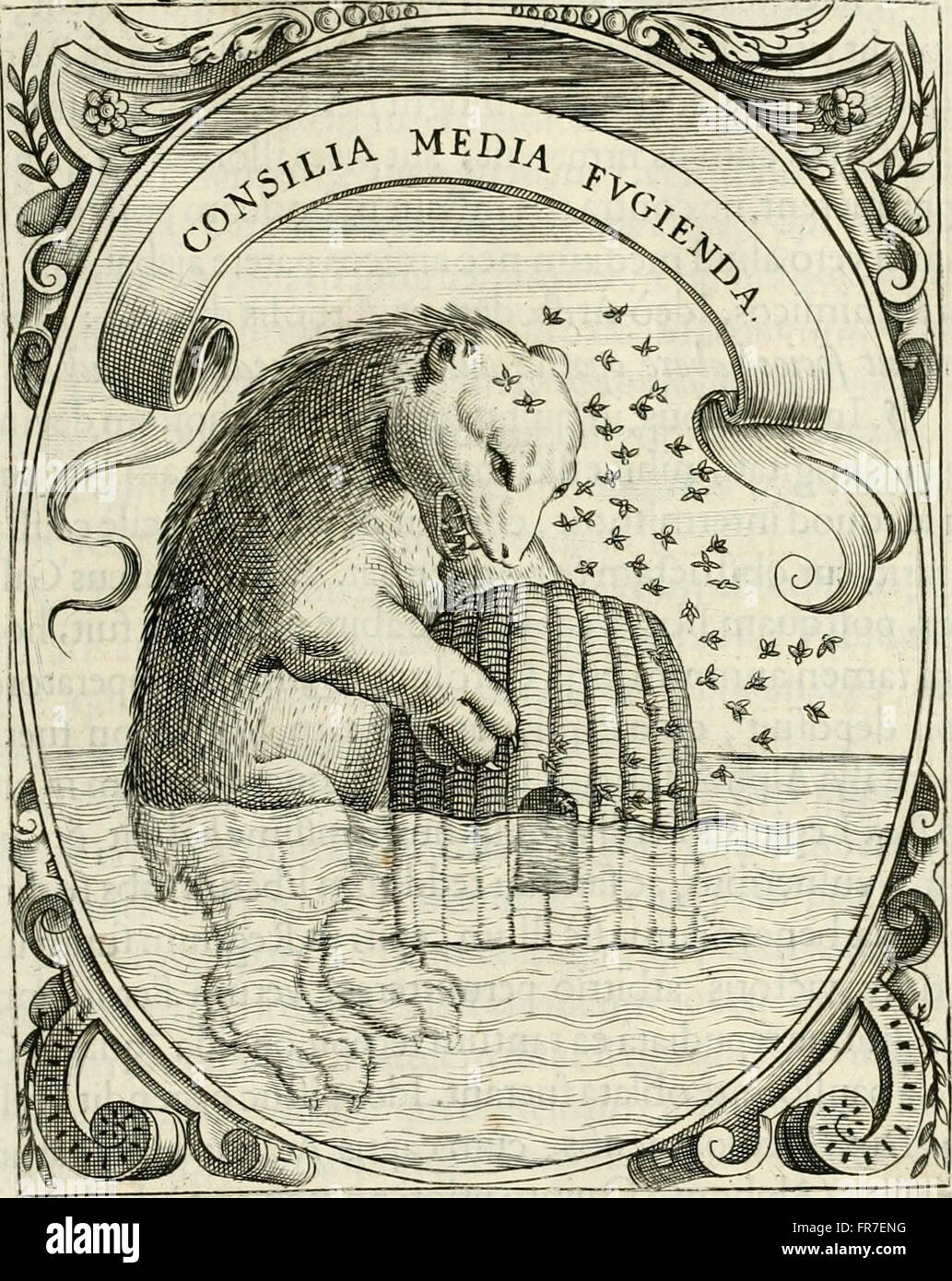 Centum symbolis expressa hi-res stock photography and images - Alamy