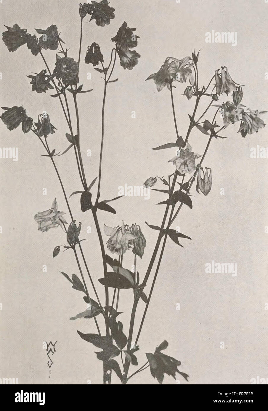 Keramic studio (1912 Stock Photo - Alamy