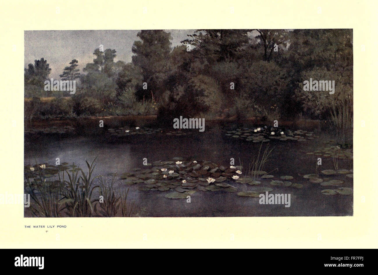 Kew gardens map hi-res stock photography and images - Alamy