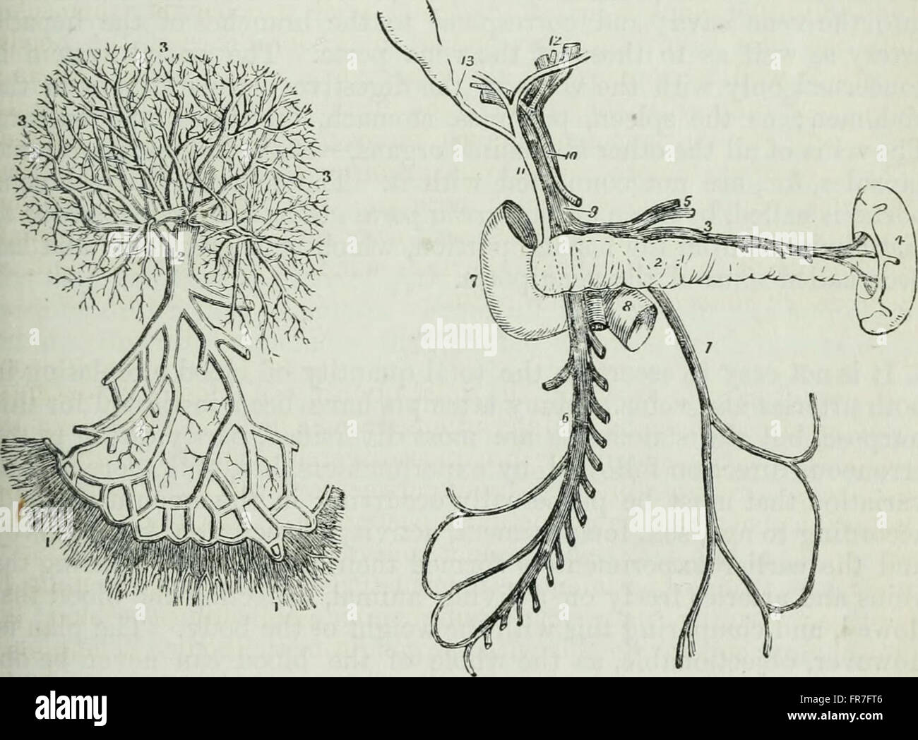 This 1856 text covers the study of human physiology, detailing the ...
