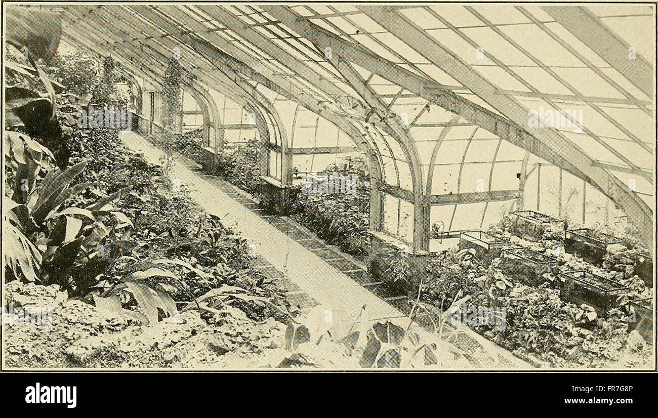 Aquatic Life (1918-1919) explores the diverse organisms living in water ...