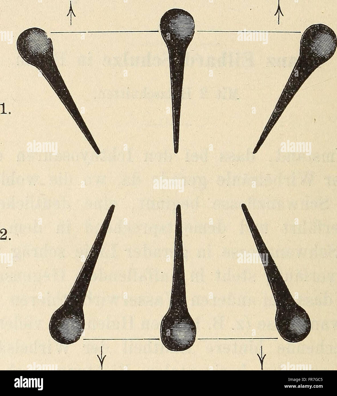 This 1895 journal covers advancements in mineralogy, geology, and ...