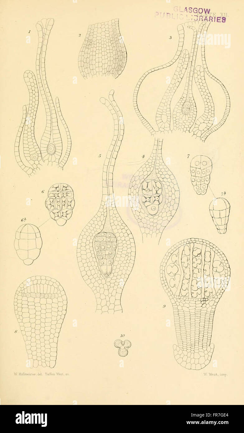 A scientific exploration on the germination, growth, and reproduction ...