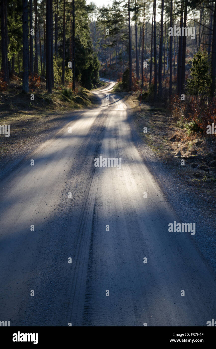 Traditional swedish gravel road through the woodlands at spring Stock ...