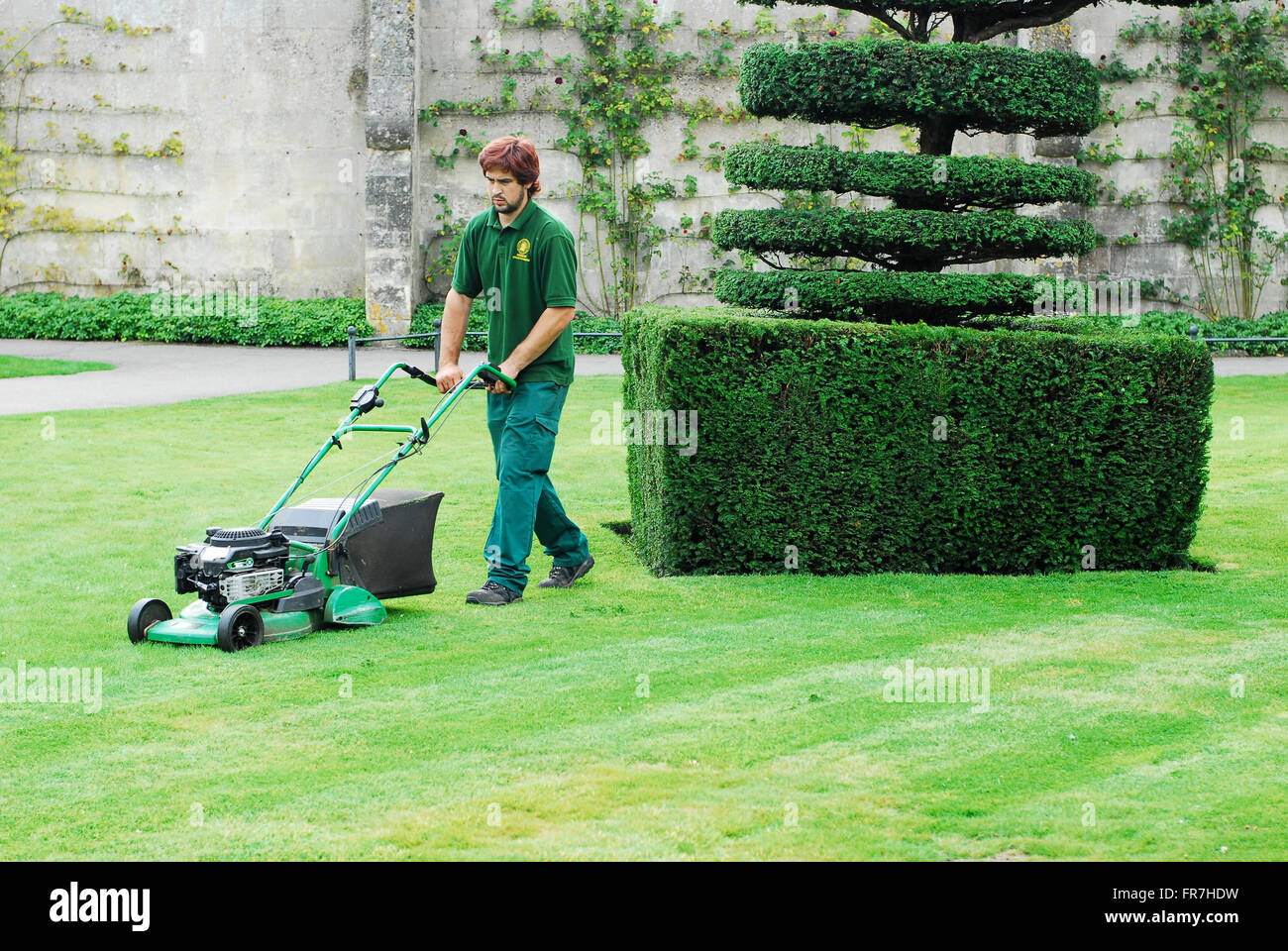 Gardener cutting grass Stock Photo - Alamy