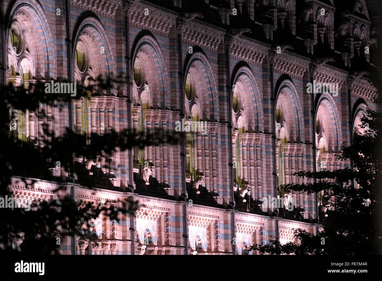 Natural History Museum at night Stock Photo - Alamy