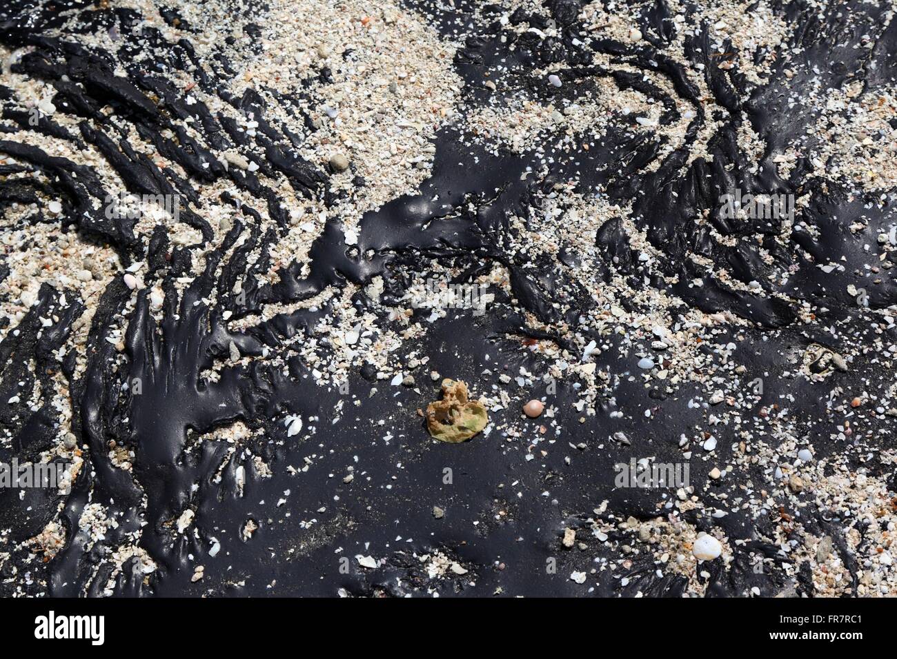 oil spill solidified after years of contamination Stock Photo - Alamy
