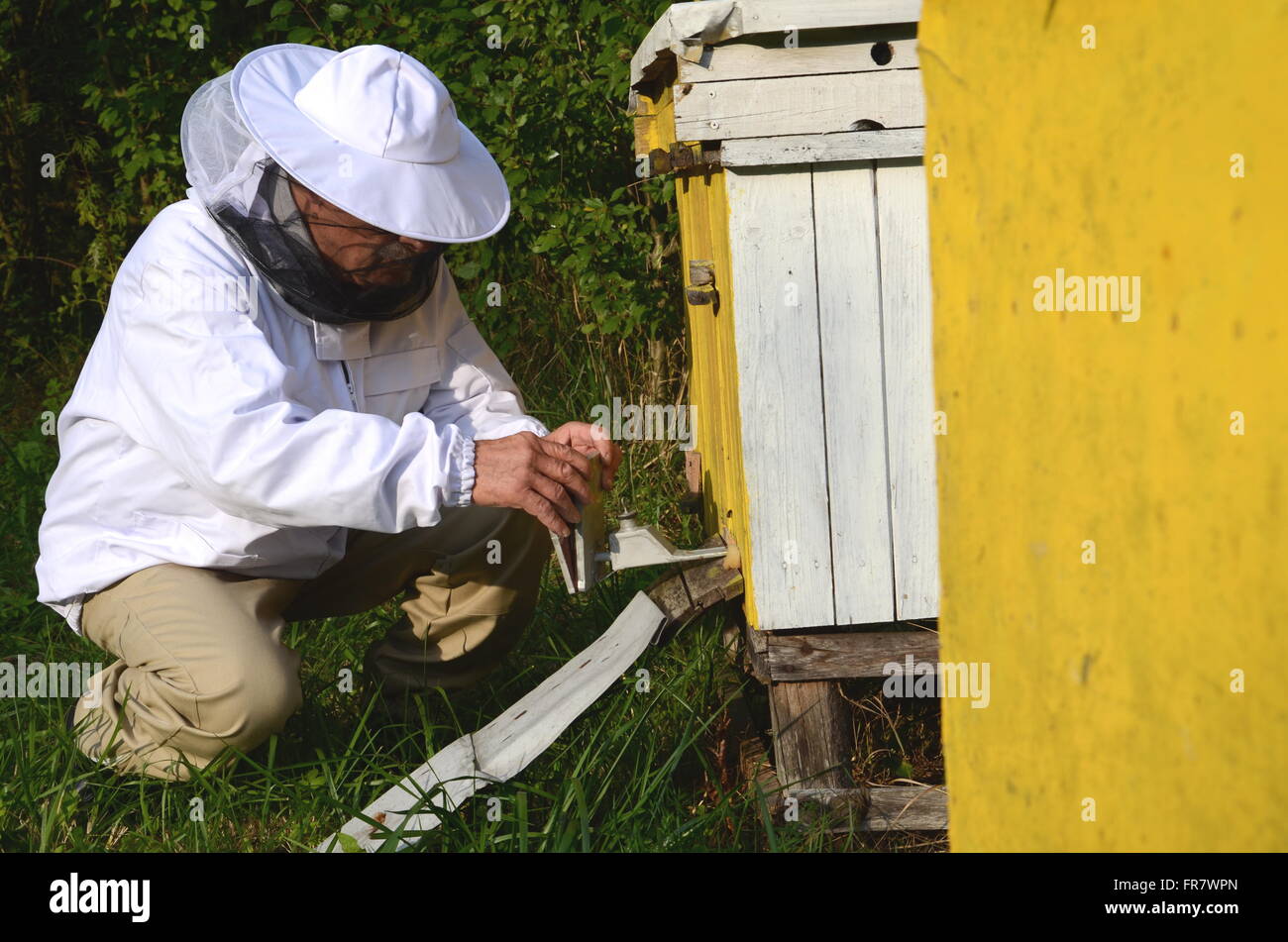 Fumigation tree hi-res stock photography and images - Alamy