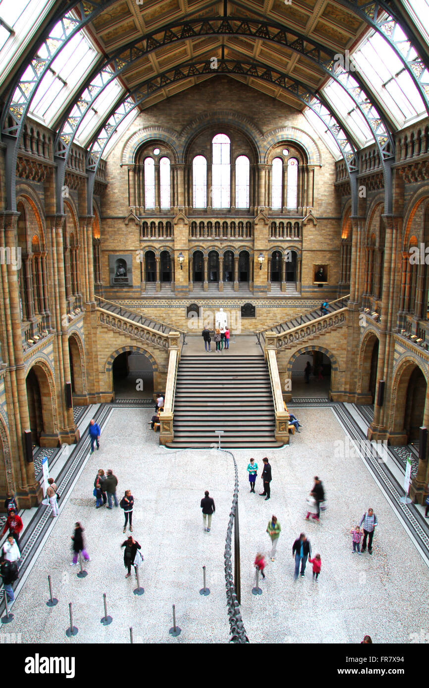The Main Hall of The natural History Museum which is a popular tourist ...
