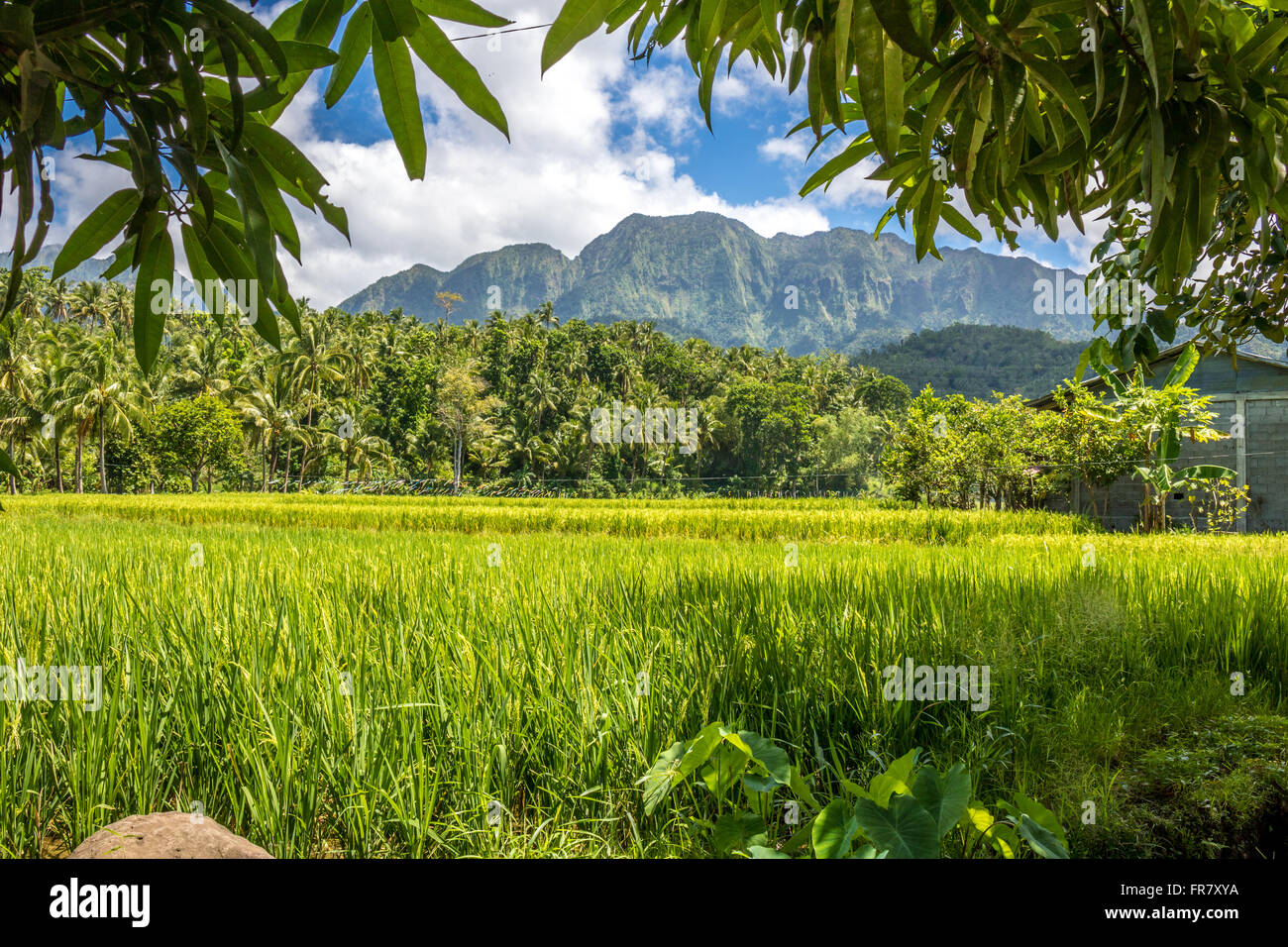Philippines Leyte Bayba y Beautiful scenery near the port town of ...