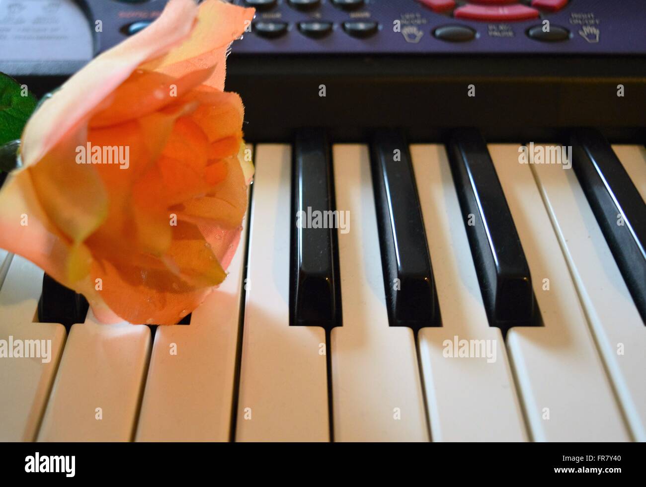 Rose keyboard hi-res stock photography and images - Alamy