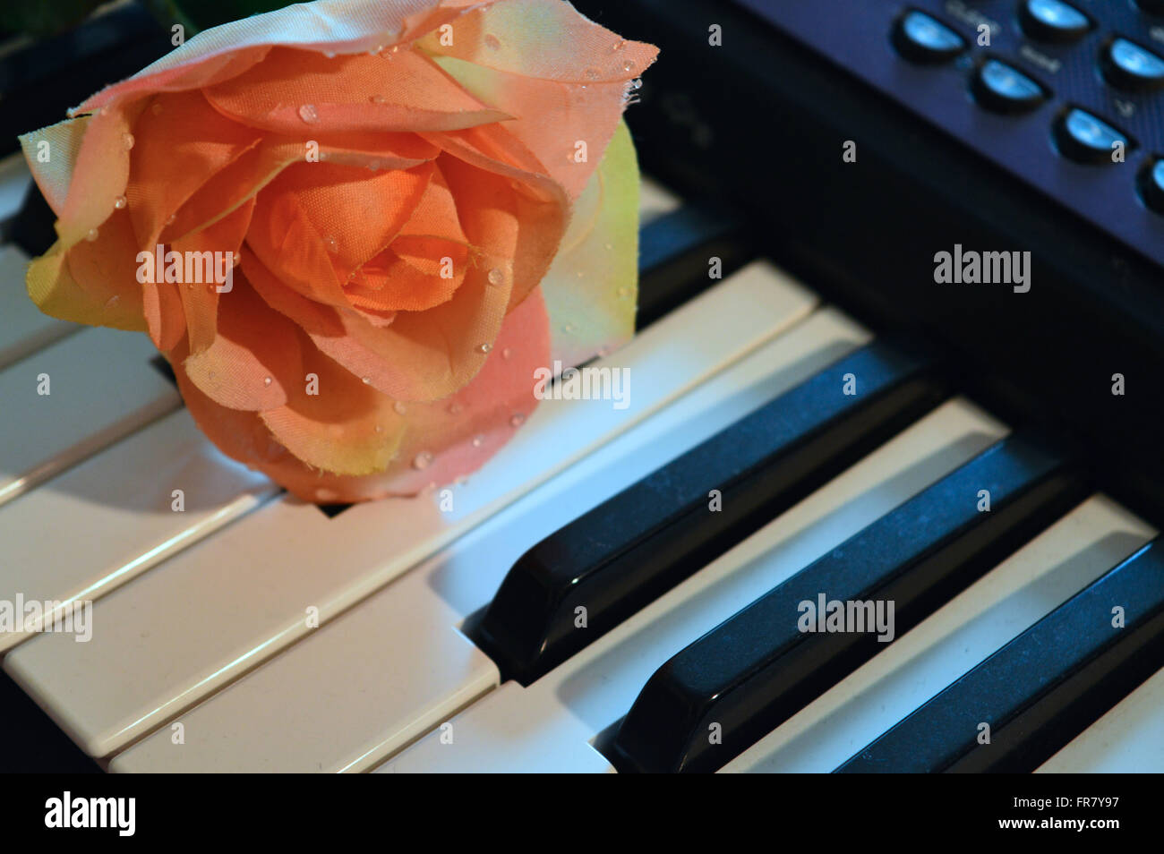 Rose keyboard hi-res stock photography and images - Alamy