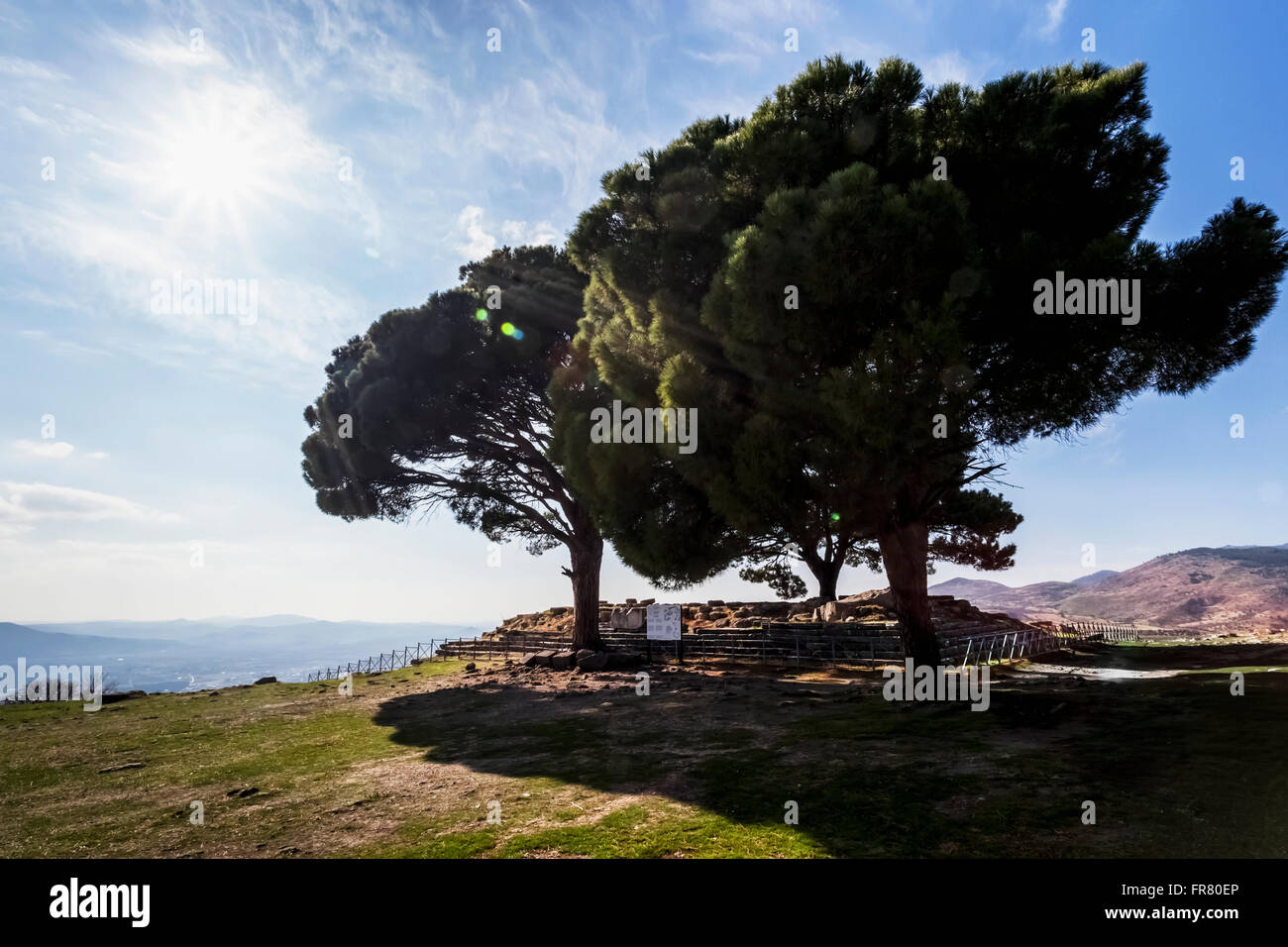 Zeus sunagi hi-res stock photography and images - Alamy