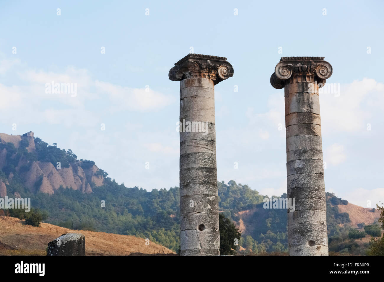 Ruins of the Temple of Artemis; Sardis, Turkey Stock Photo - Alamy