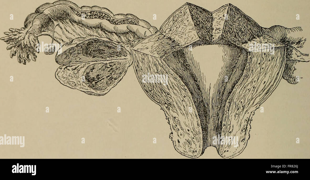 Map interpretations hi-res stock photography and images - Alamy