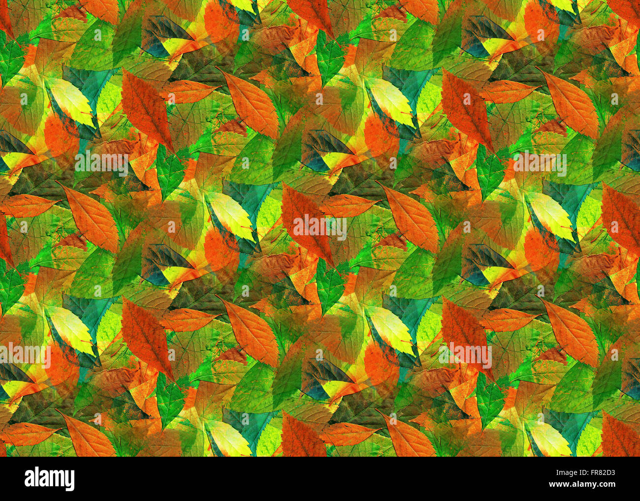 Colorful leaves as Seamless background Stock Photo - Alamy