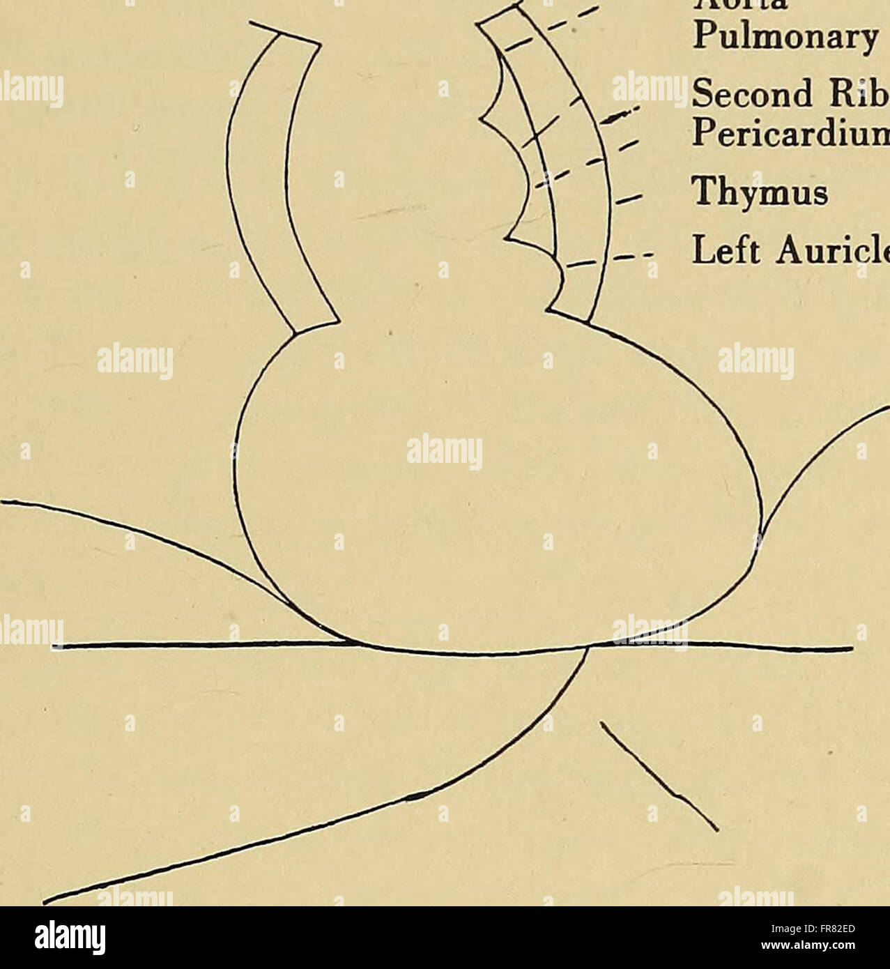 'Rational Therapy' (1919) outlines psychological and therapeutic ...