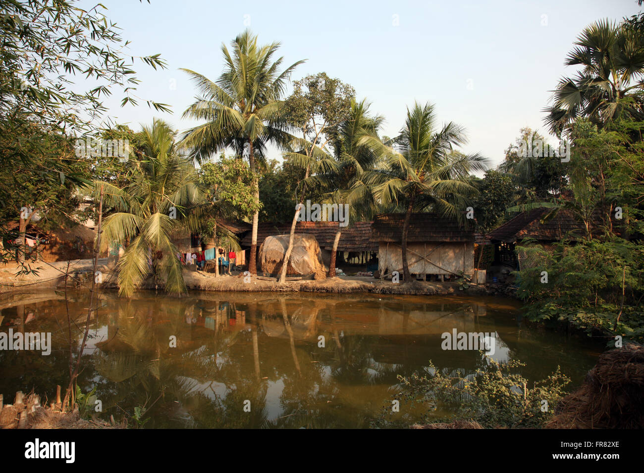 Bengali village hi-res stock photography and images - Alamy