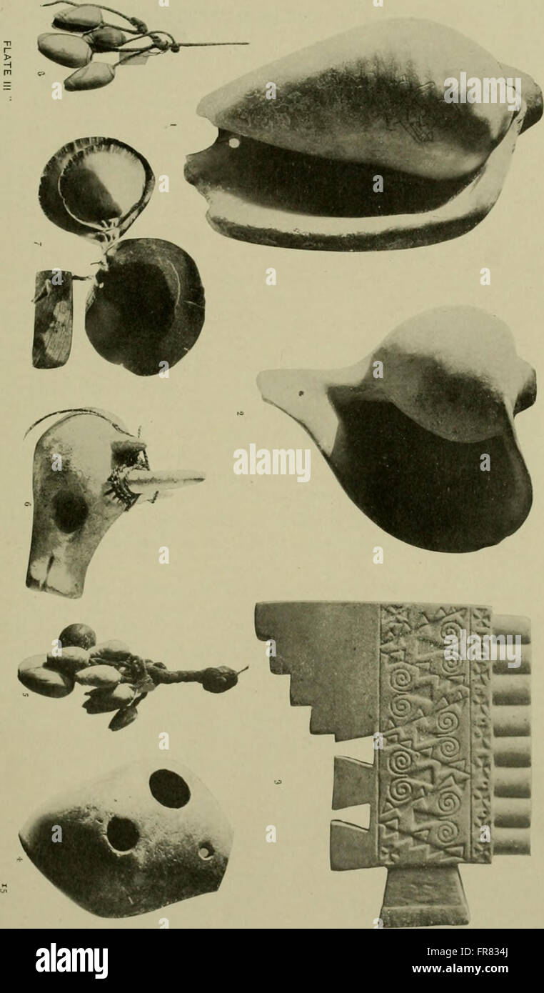 The American Museum Journal, published from 1900 to 1918, features ...