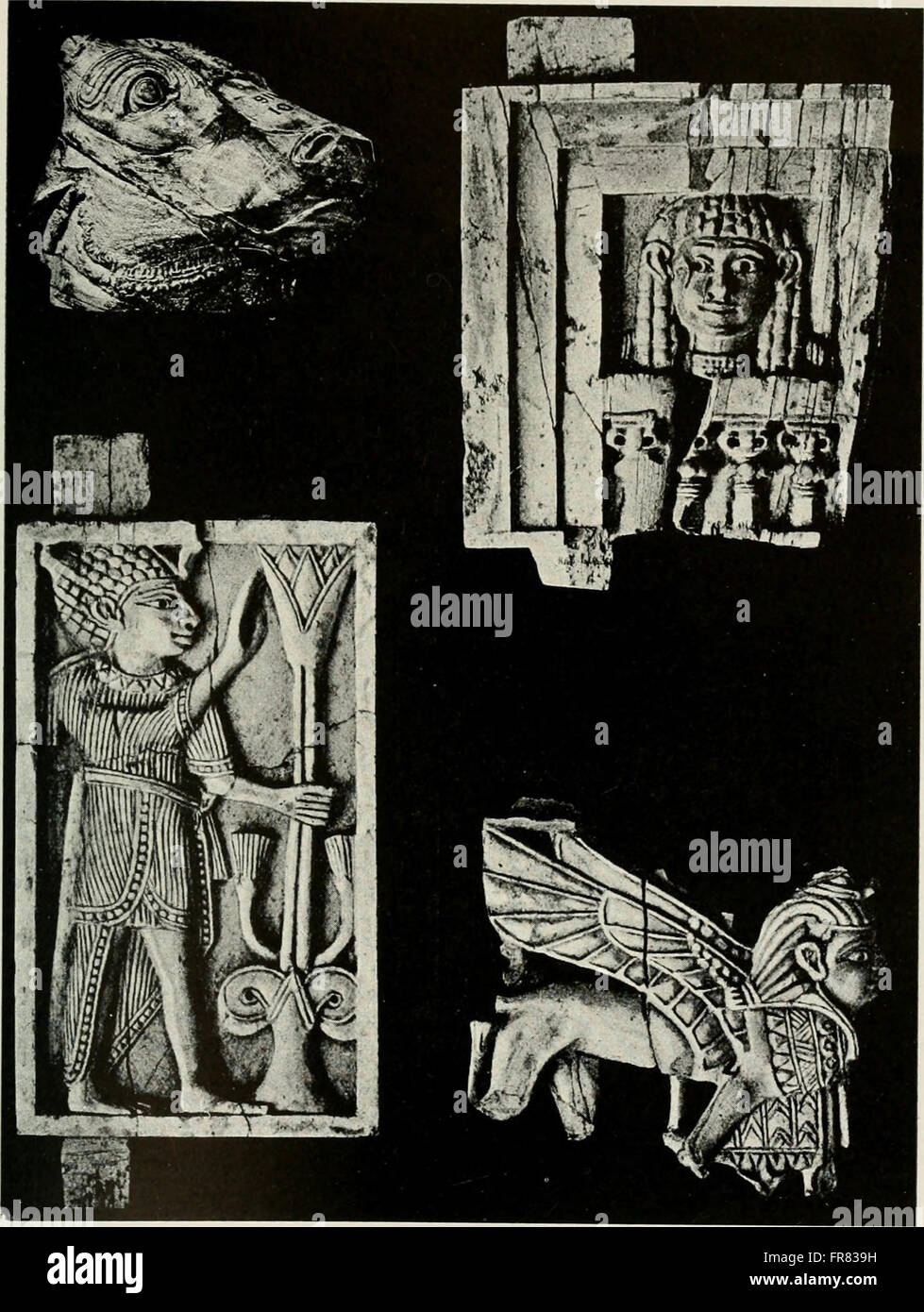This edition of The American Museum Journal, published between 1900 and ...