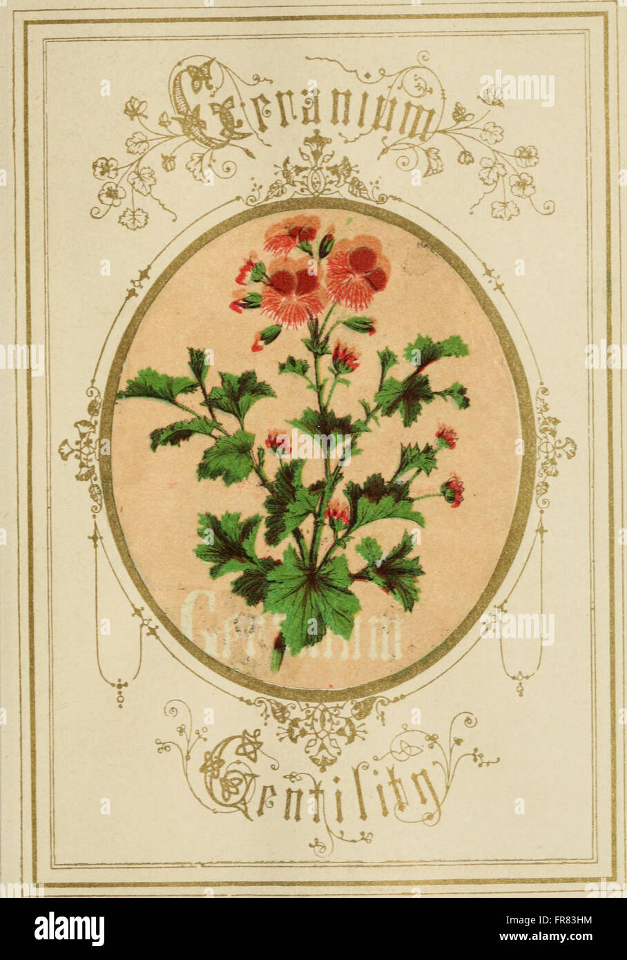 'The Language of Flowers' (1857) explores the symbolic meanings of ...