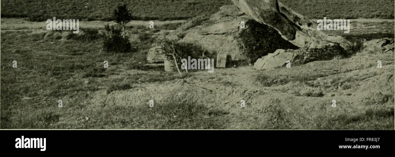 The American Museum Journal, published between 1900 and 1918, covers a ...