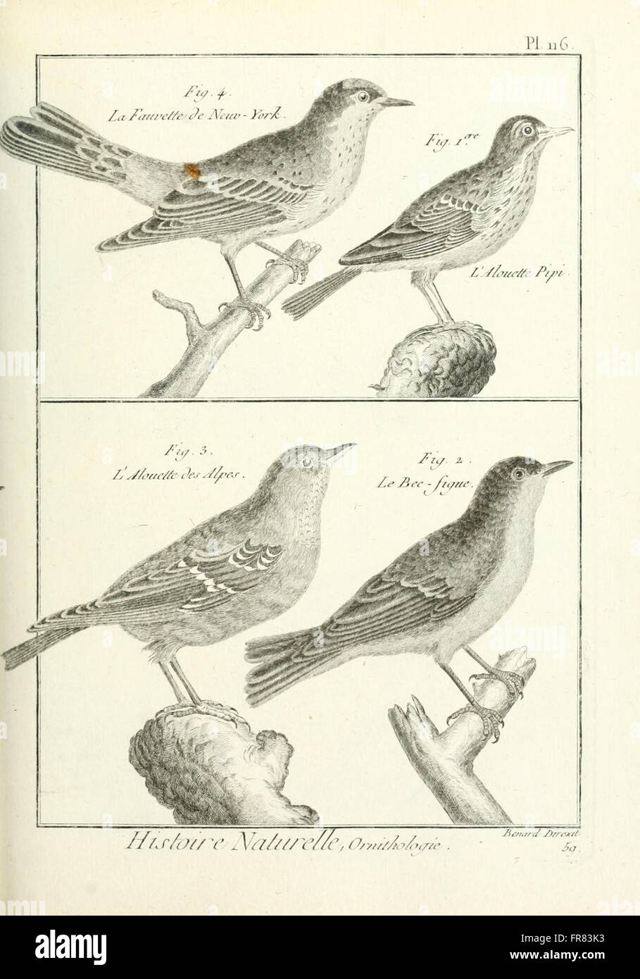 This 18th-century encyclopedic work presents a systematic ...