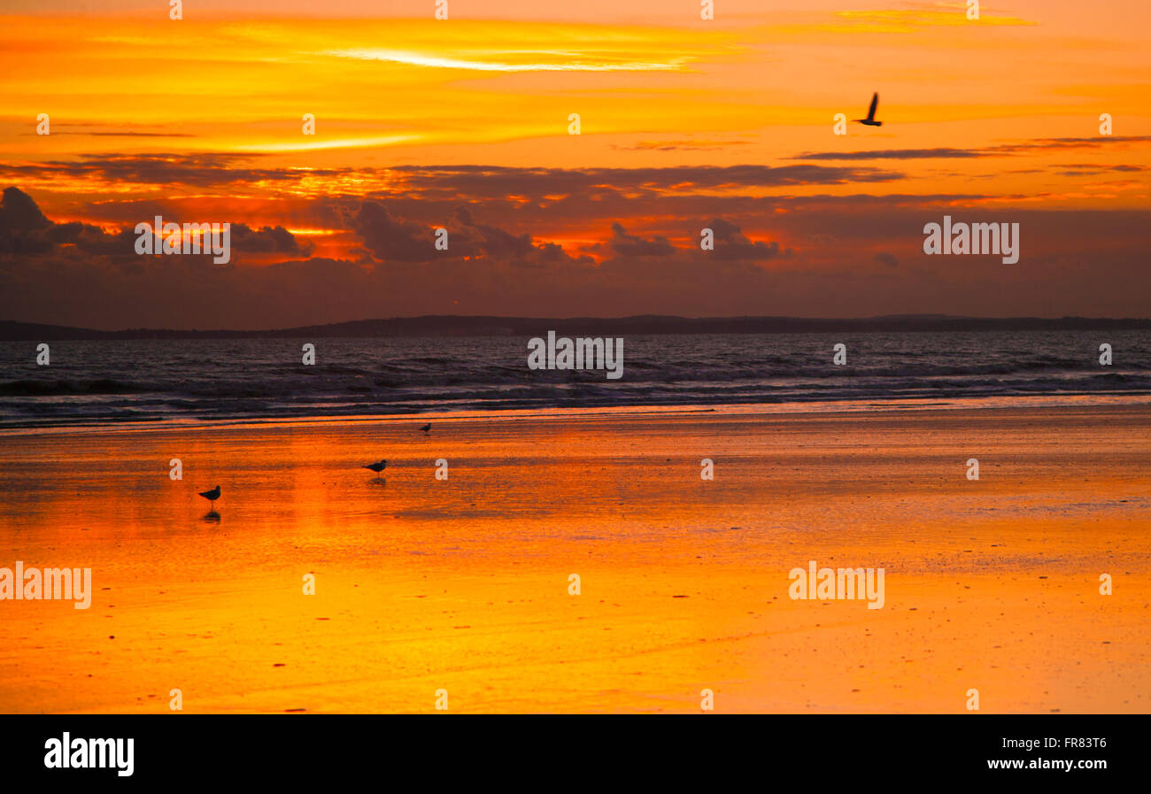 Sunset over beach hi-res stock photography and images - Alamy