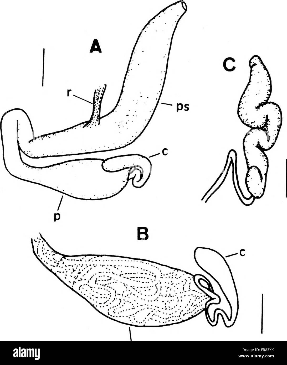 2001 bulletin Black and White Stock Photos & Images - Alamy