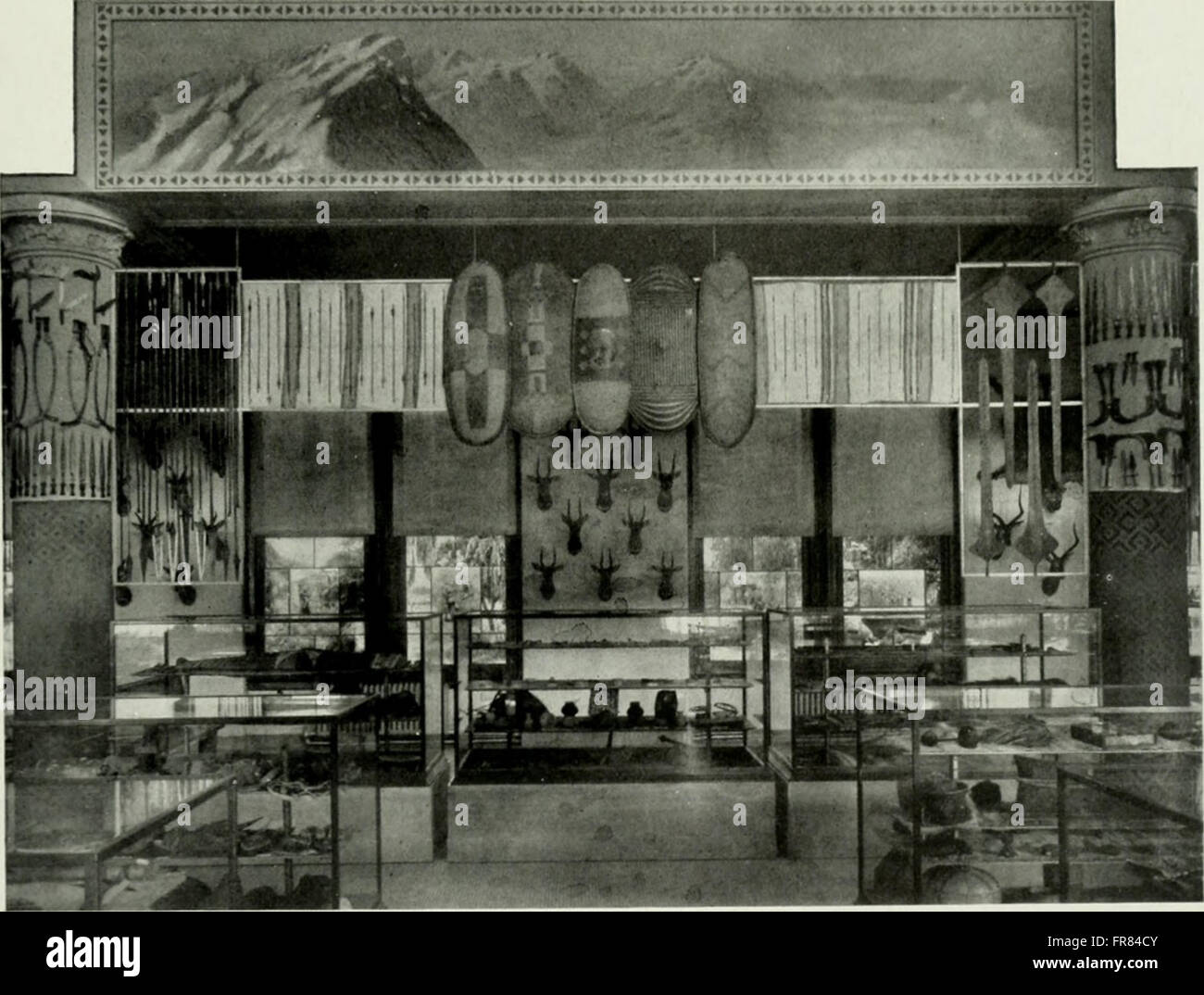 The American Museum Journal (1900-1918) covers a wide range of topics ...