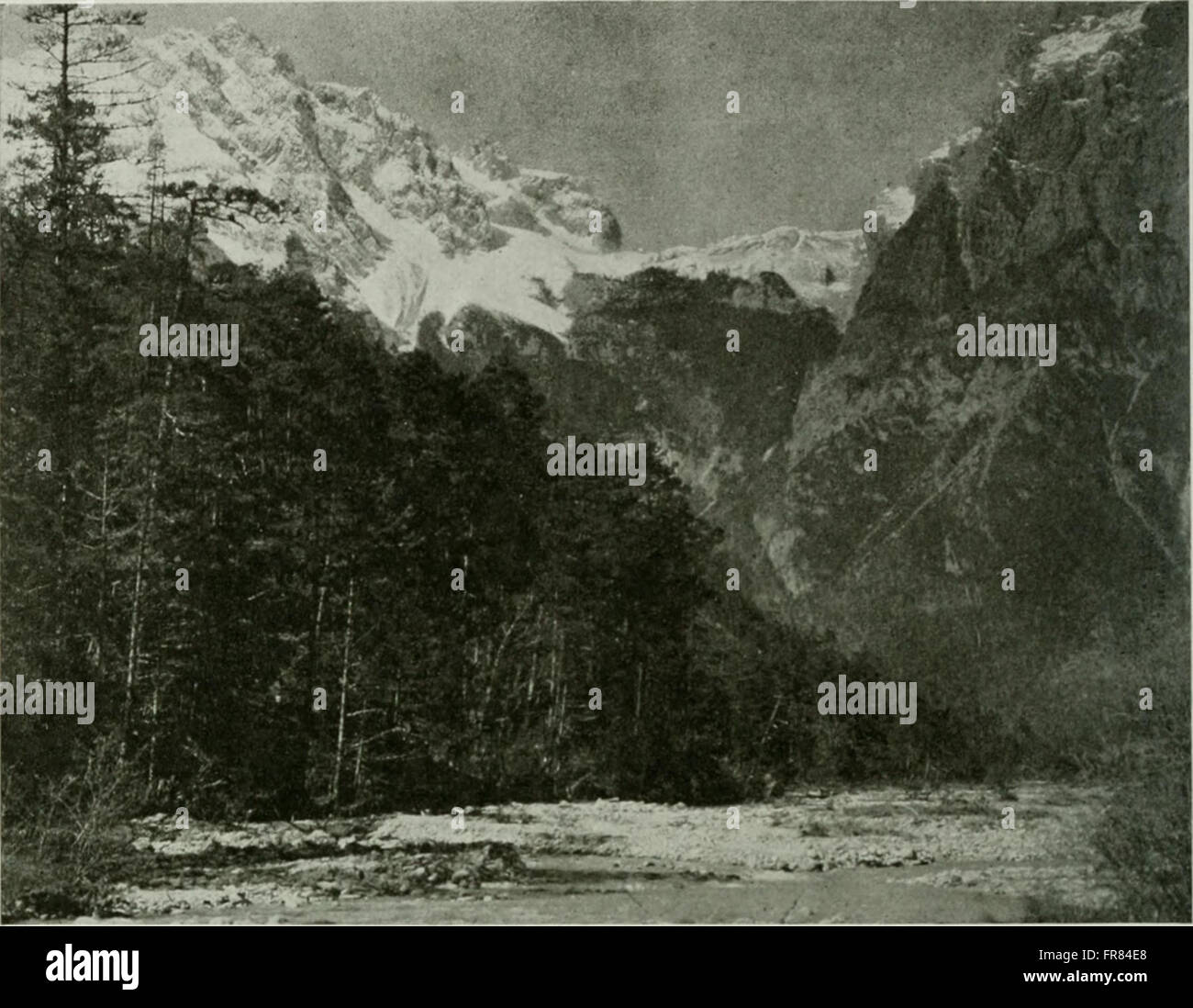 The American Museum Journal, published between 1900 and 1918, contains ...