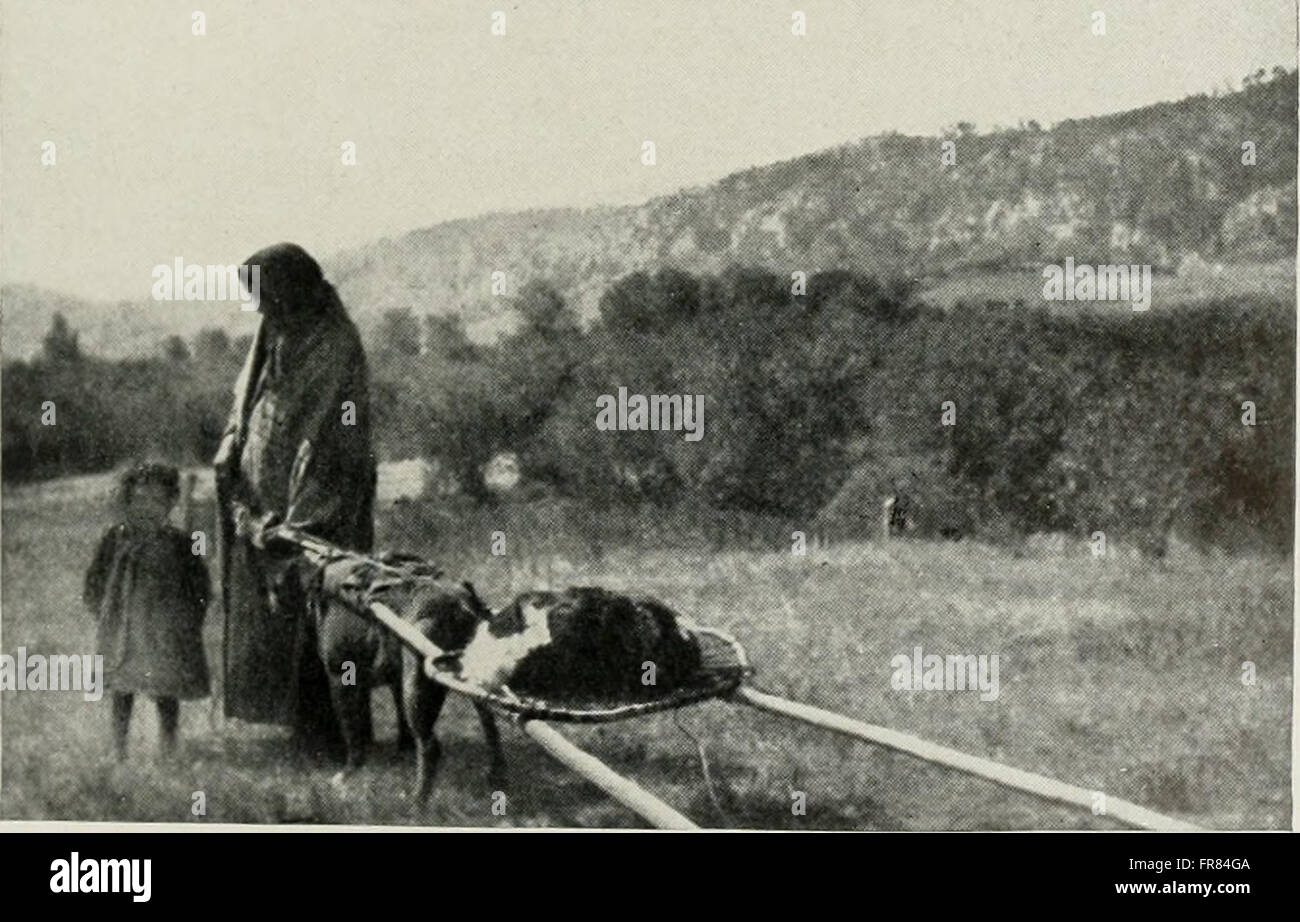 The American Museum Journal, published between c.1900 and 1918, covers ...