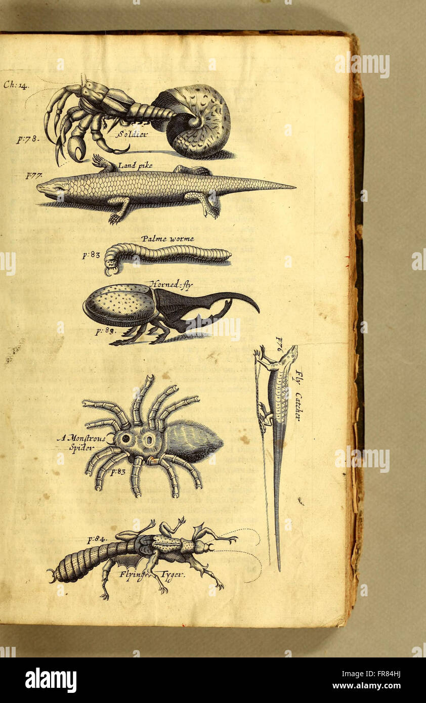 This historical work details the history of the Caribbean islands ...
