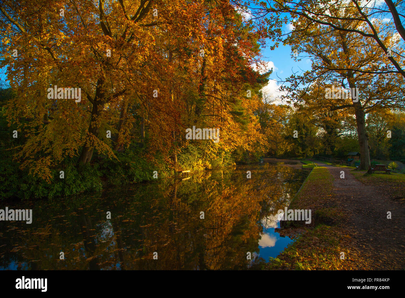 Basingstoke hampshire england hi-res stock photography and images - Alamy