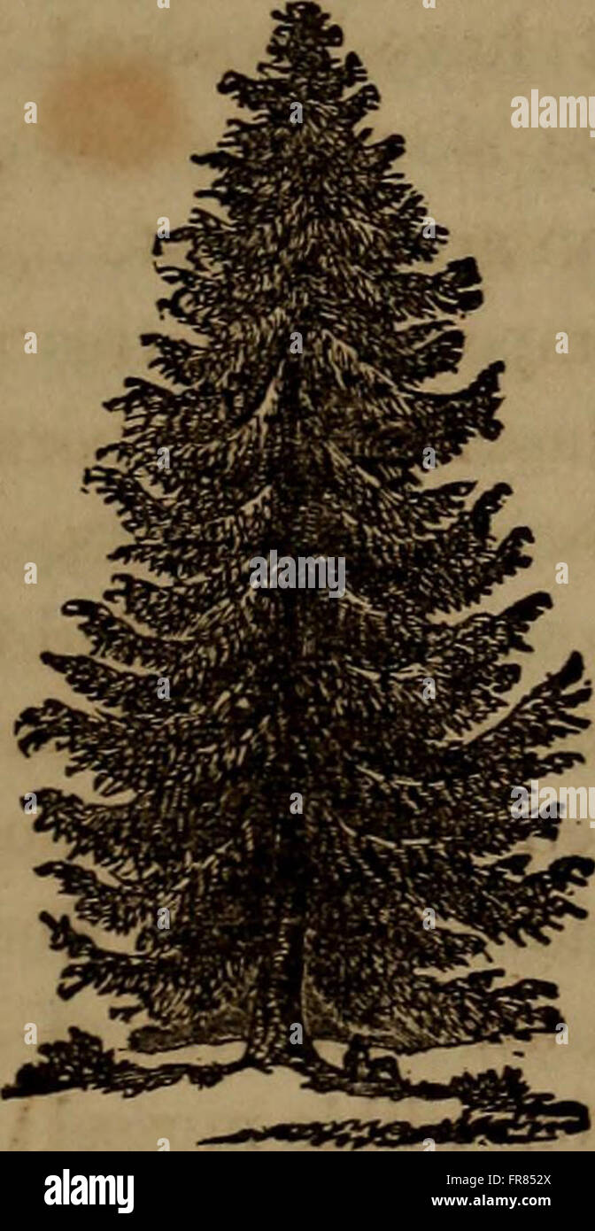 This work presents geological evidence and analysis to support the ...